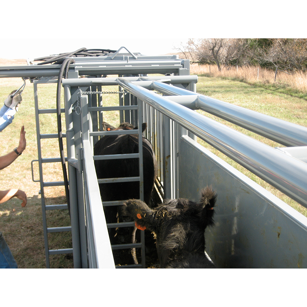 PEARSON ADJUSTABLE 15’4″ ALLEY with CATWALKS | Western Ranch Supply