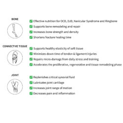 100X Equine 100X Osteo-MAX 3-in-1 Supplement - 1 Gallon | WRS